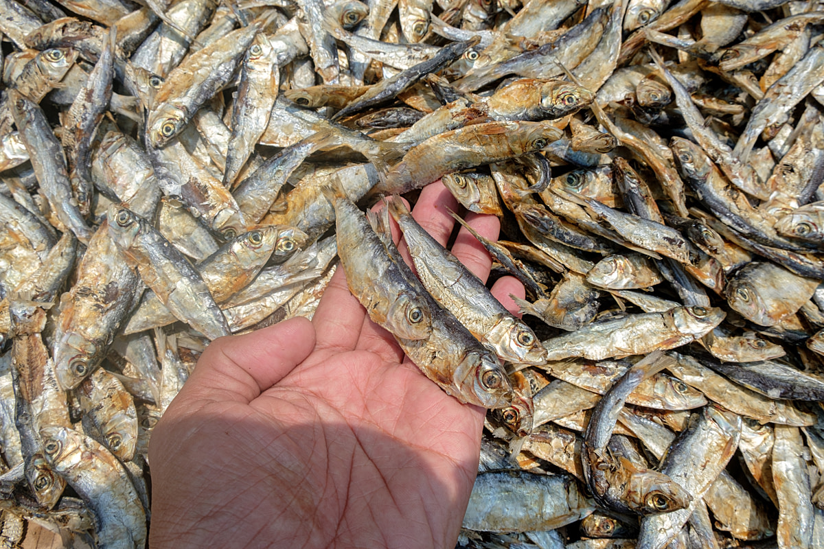 Trash-choked Shores: The Impact of Plastic Waste on Coastal Communities ...