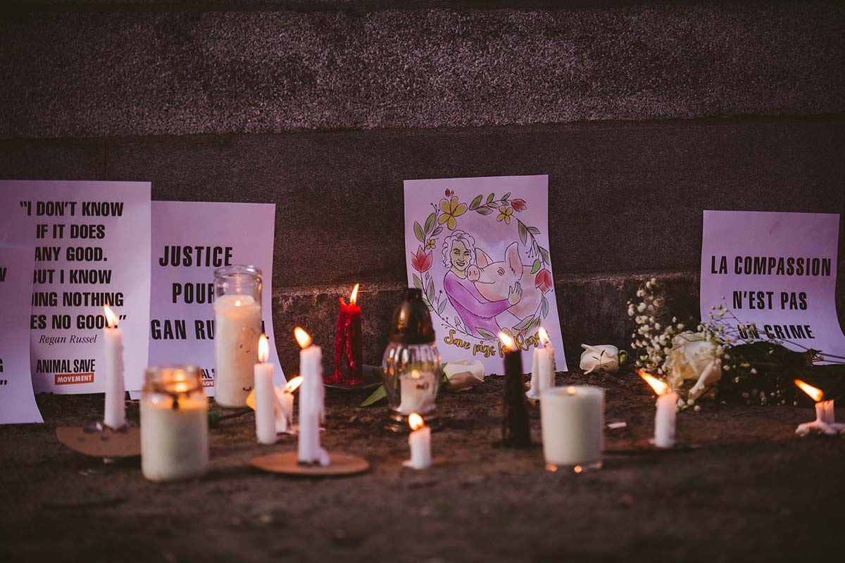 Regan Russell: Rest in Power - We Animals Regan Russell: Rest in Power - We Animals