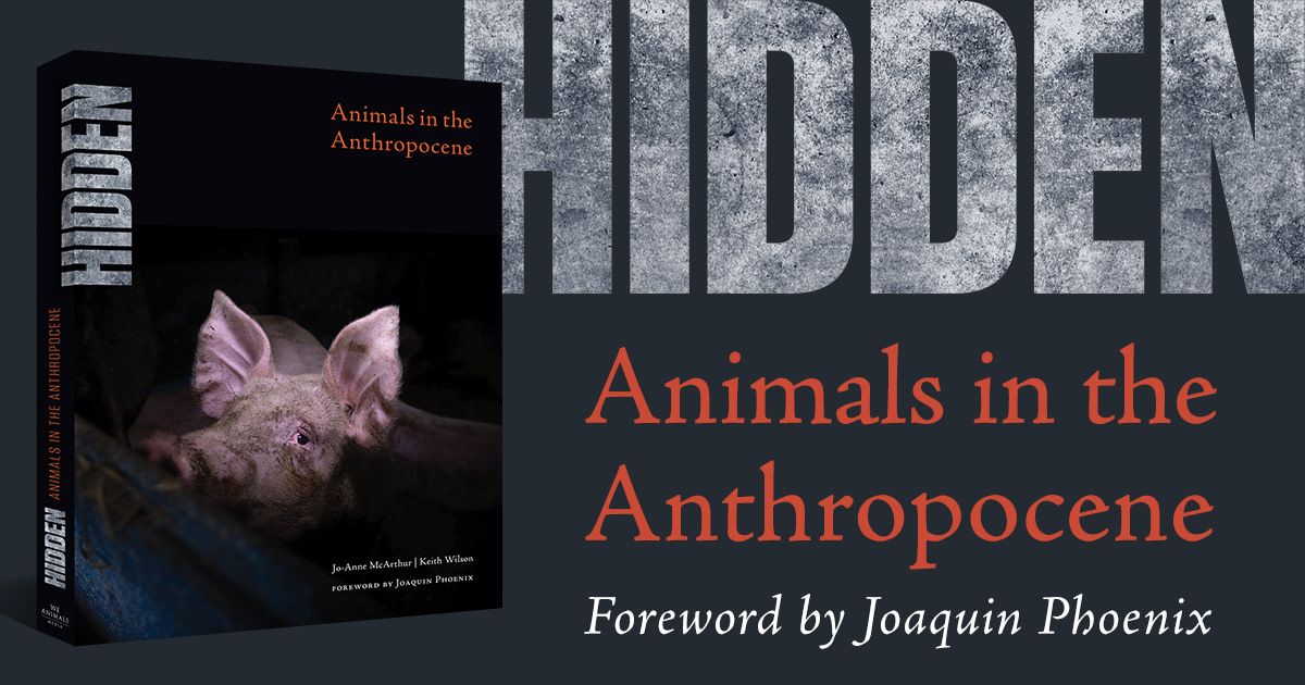 Purchase Our Books - We Animals