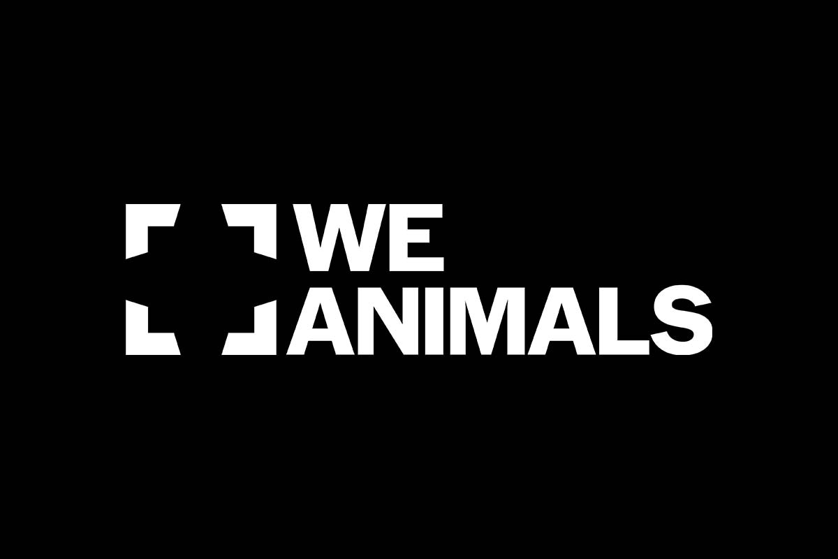 We Animals | Animal Photojournalism
