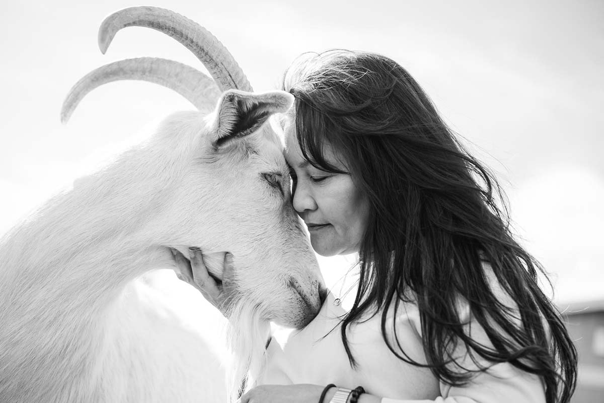 We Animals Allies - We Animals