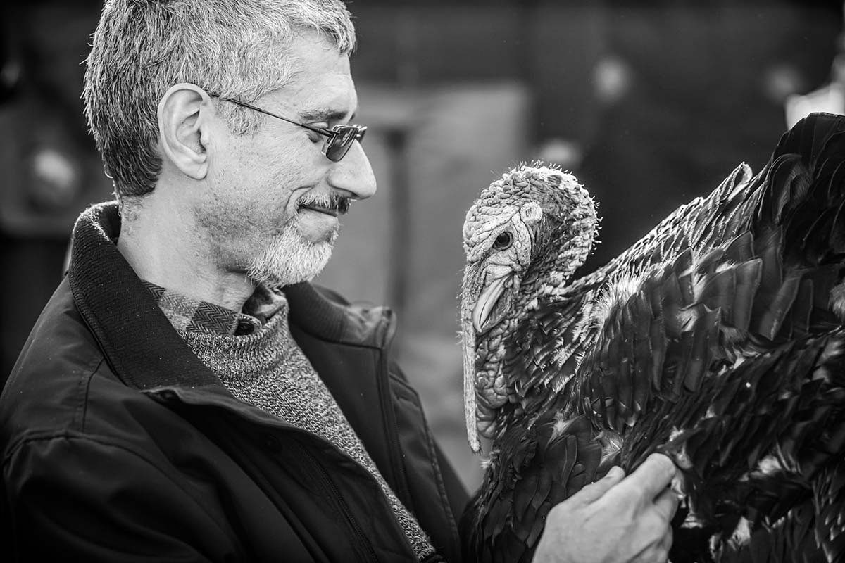 Fundraise for We Animals - We Animals