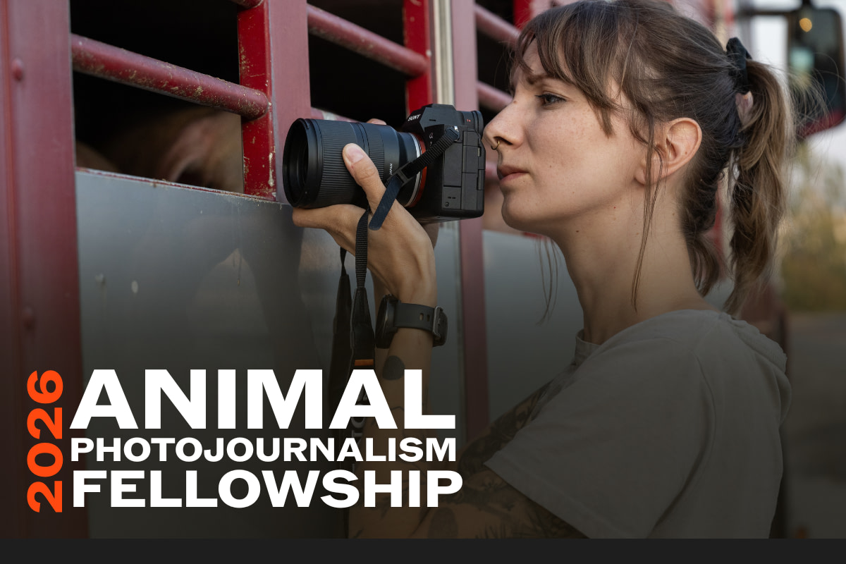 Animal Photojournalism Fellowship - We Animals