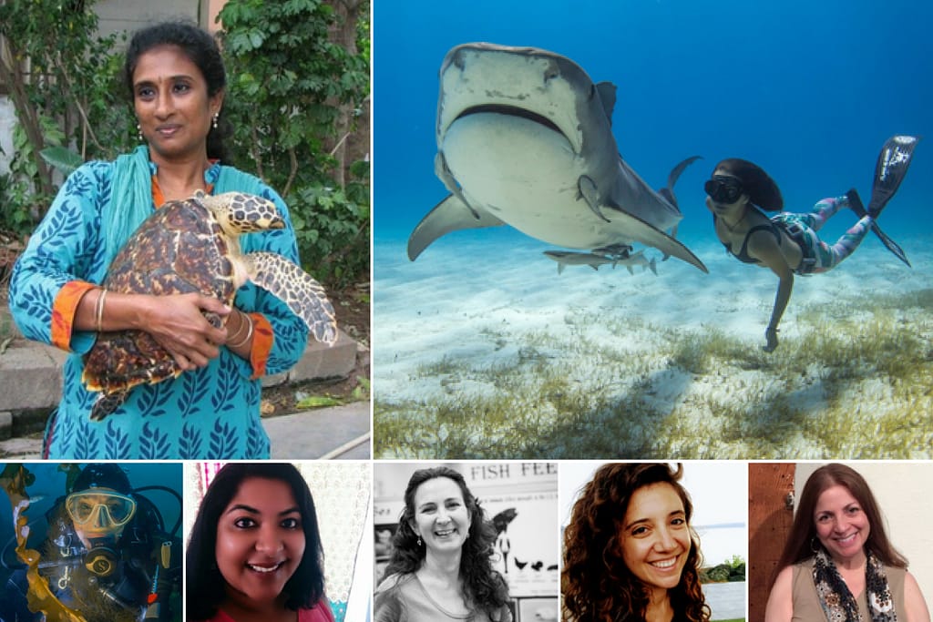 Seven Women Protecting Oceans and Sea Life - Unbound Project
