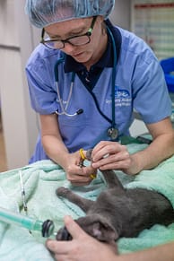 Anne Quain - Unbound Project