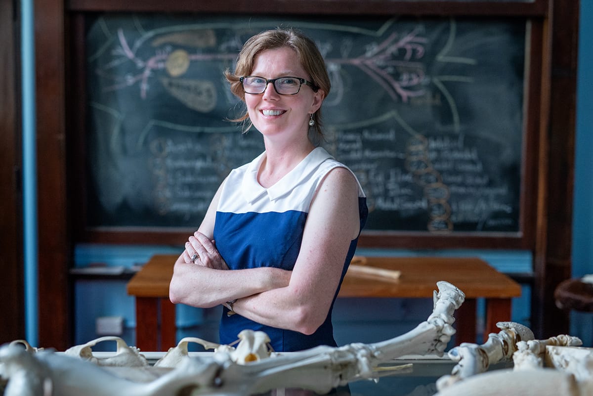 Anne Quain - Unbound Project