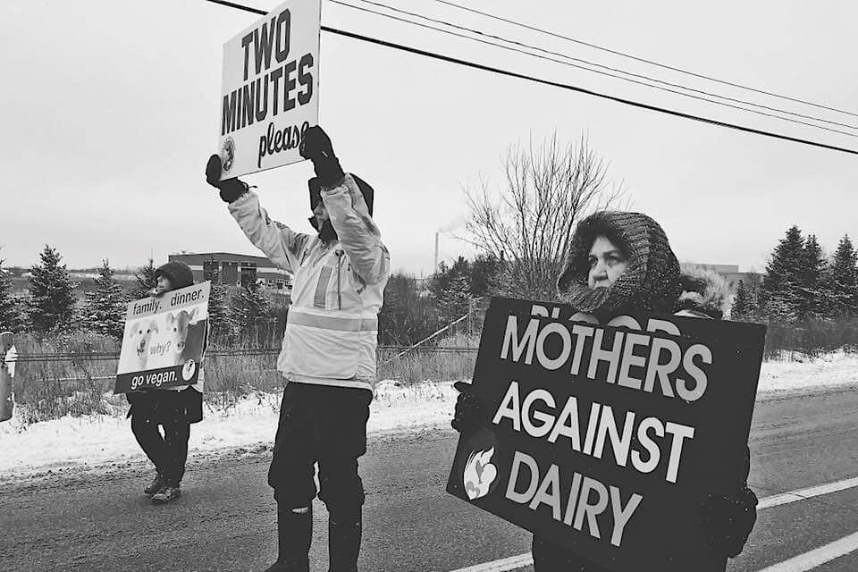 Mothers Against Dairy - Unbound Project